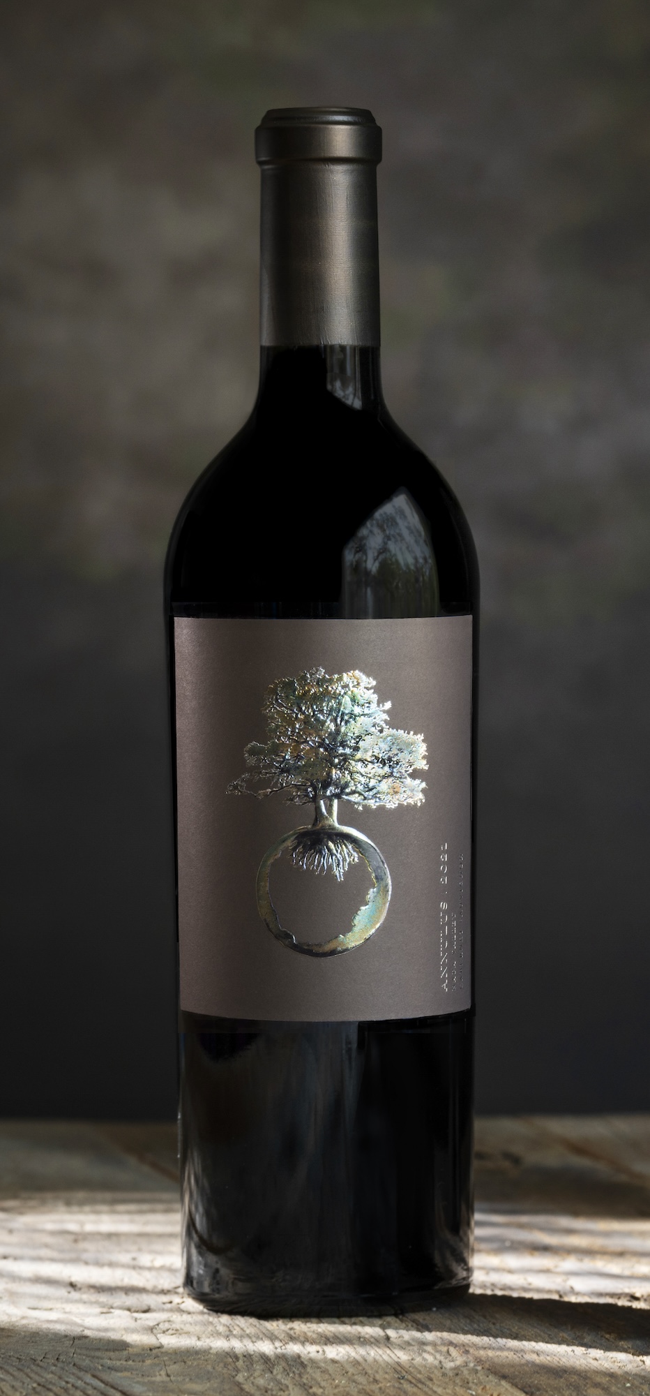 2021 Annulus Napa Valley Cabernet Sauvignon - Annulus Cellars